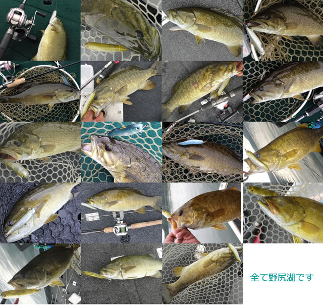 HIDEUP パイロン84 HIDEUP Pylon84 - プロショップオオツカ